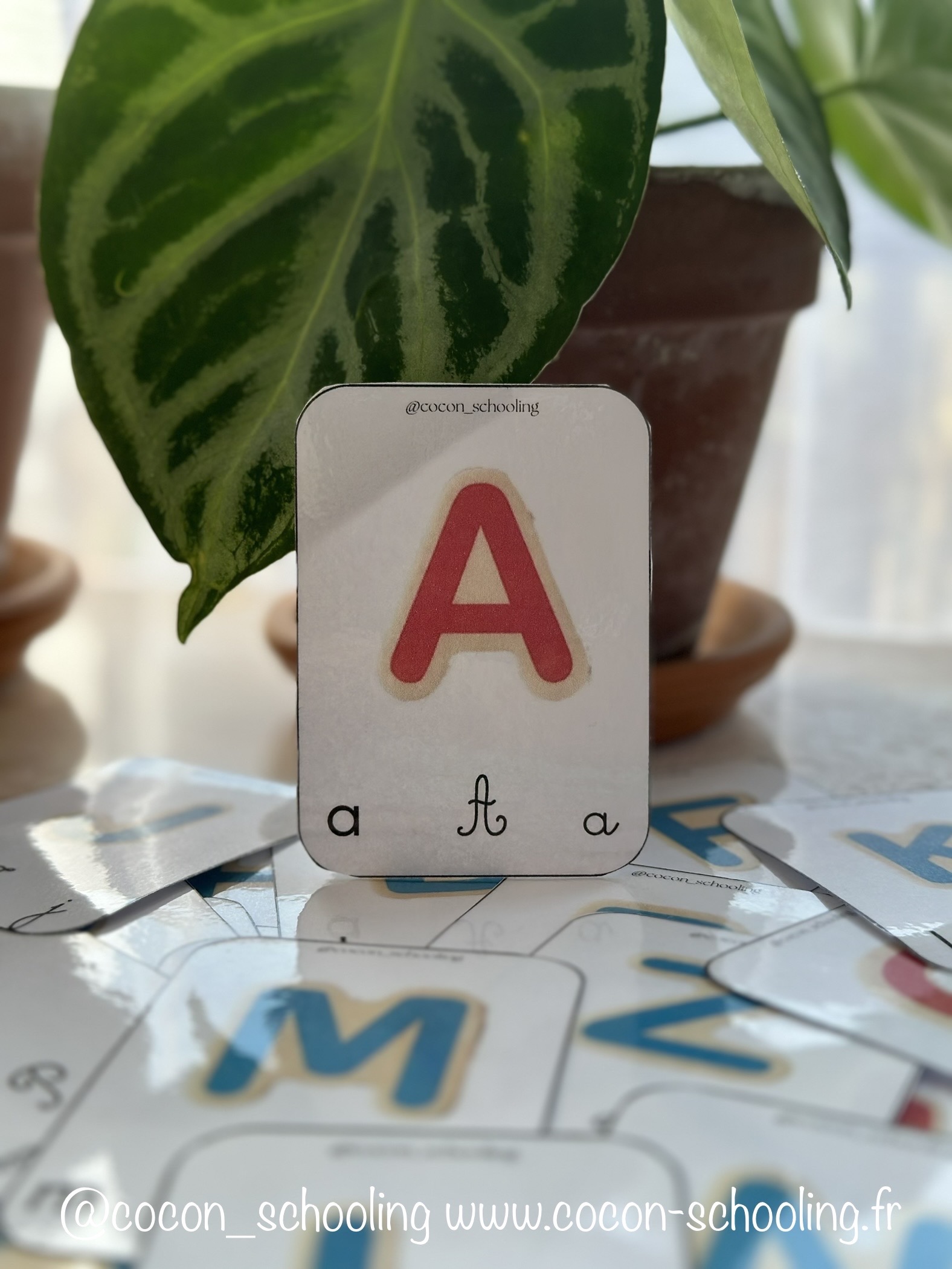 Lettre et correspondance – Cocon-Schooling