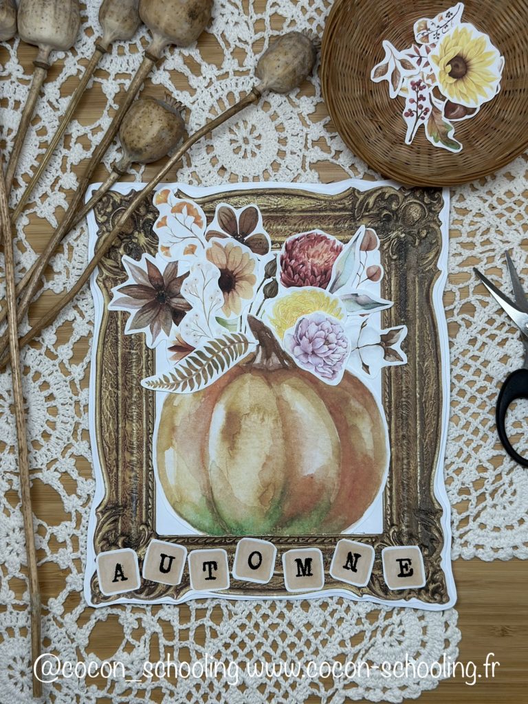 Citrouille d’automne – Cocon-Schooling