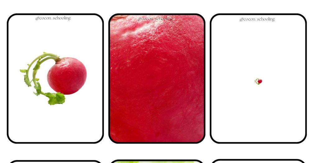 Fruits et légumes zoom – Cocon-Schooling