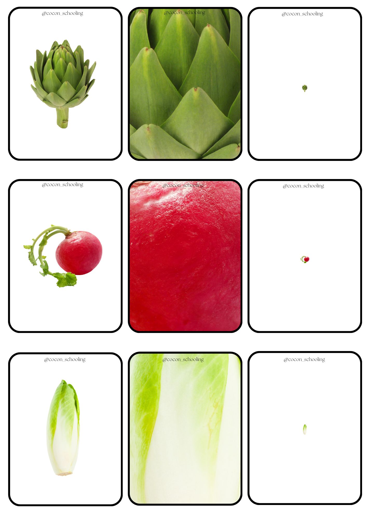 Fruits et légumes zoom – Cocon-Schooling