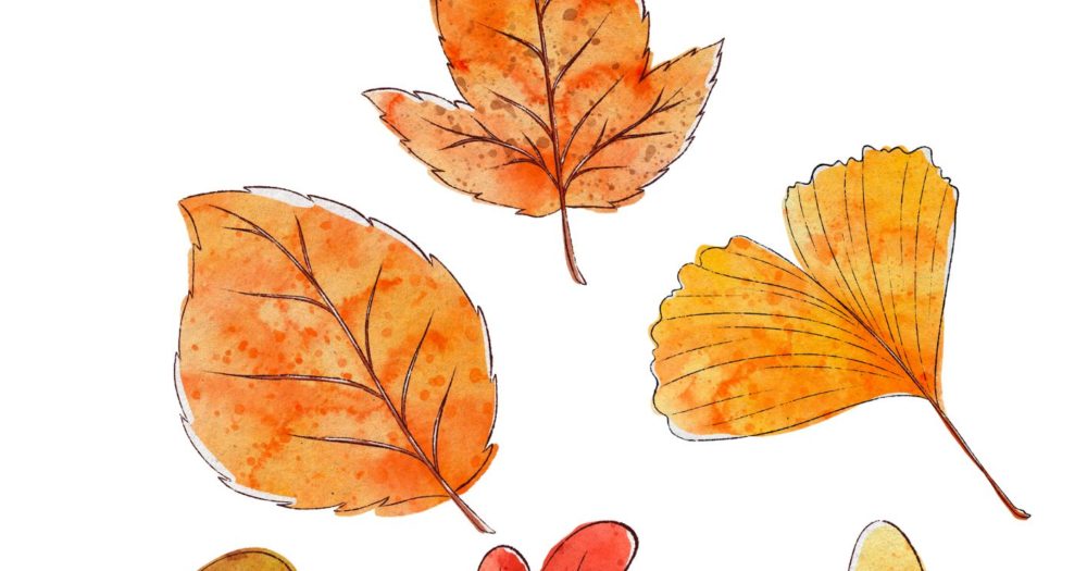 Feuilles d’automne – Cocon-Schooling