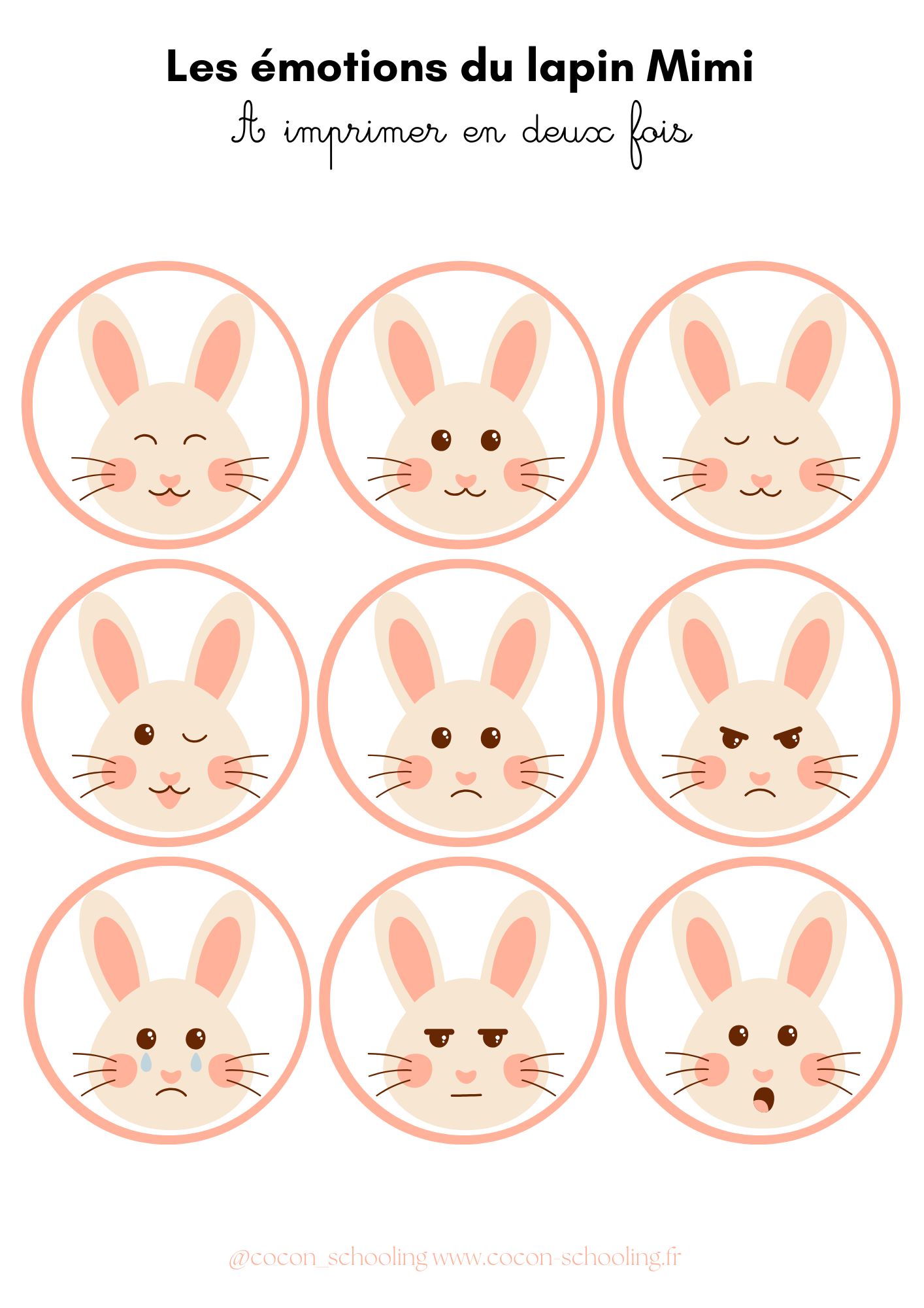 Les émotions de Mimi le lapin – Cocon-Schooling