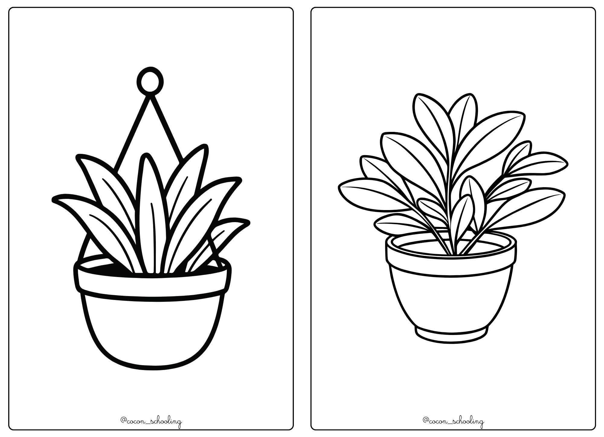 Coloriage plante – Cocon-Schooling